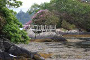 Visit Derreen Gardens with Discover Ireland