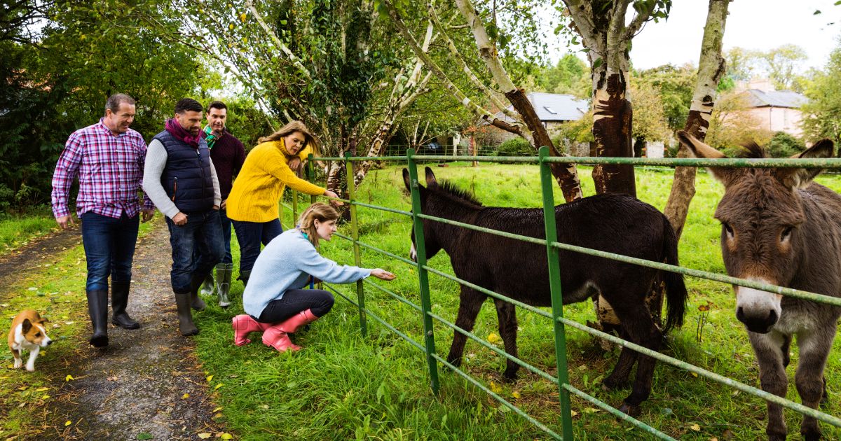 Plan Your Short Family Break in Limerick With Discover Ireland
