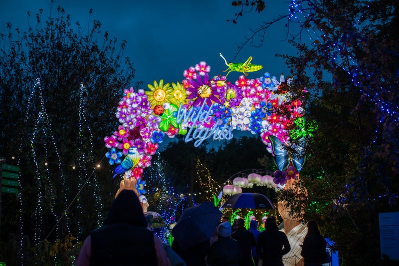 The Best Things to Do in Dublin - November 2025