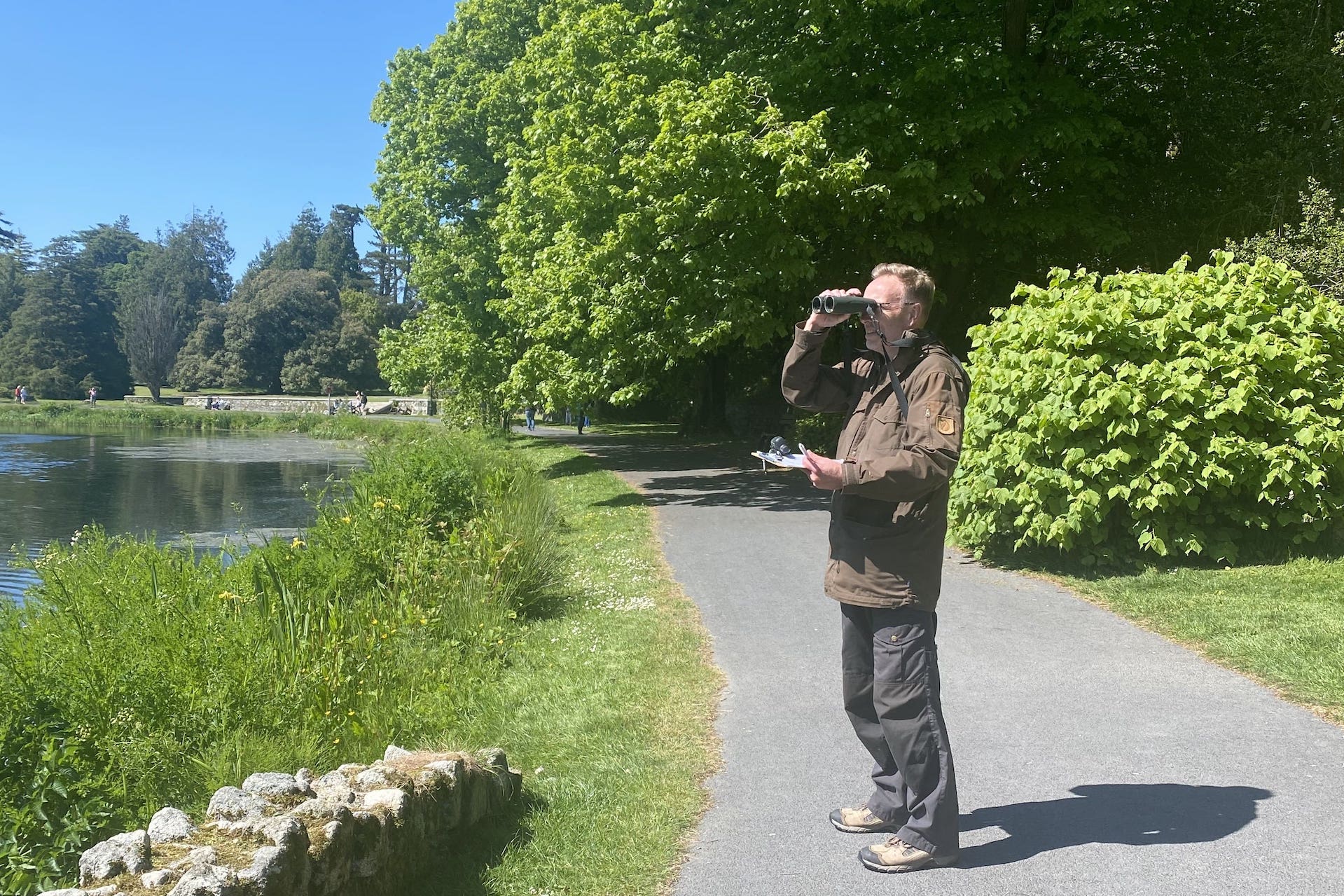 Visit Bats, Bee and Otter Things with Discover Ireland