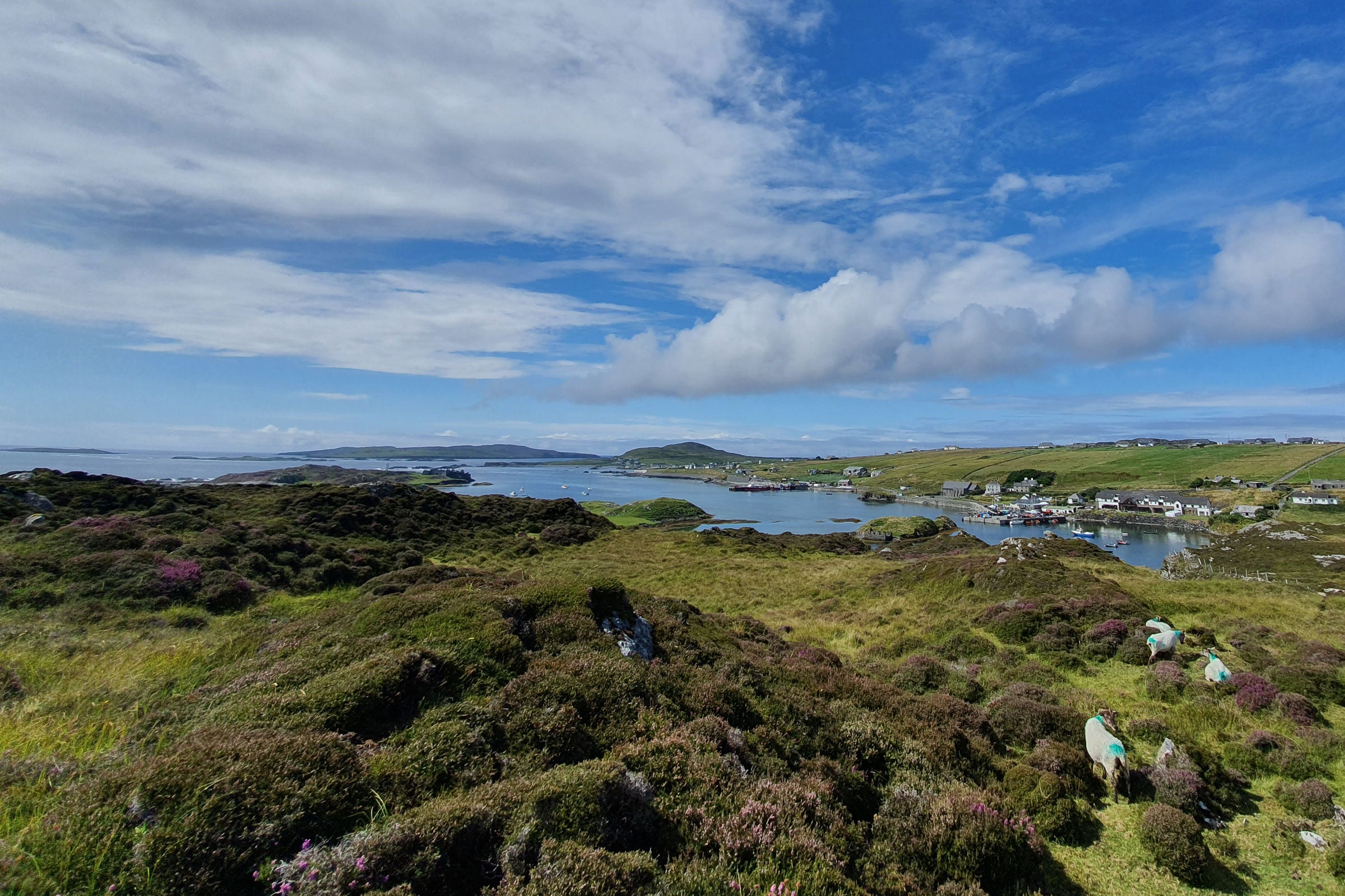Visit Inishbofin Island (Inis Bó Finne) - Galway with Discover Ireland