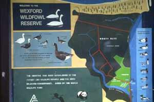Visit The Wexford Slobs and Wildfowl Reserve with Discover Ireland