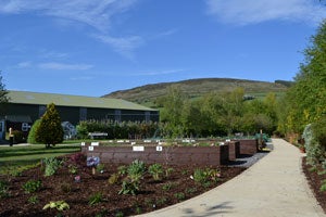 Visit Tearmann Community Garden with Discover Ireland
