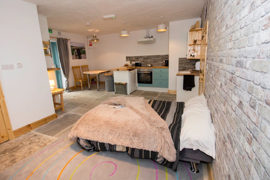 Stay with Cuddly Cow Campview Farm