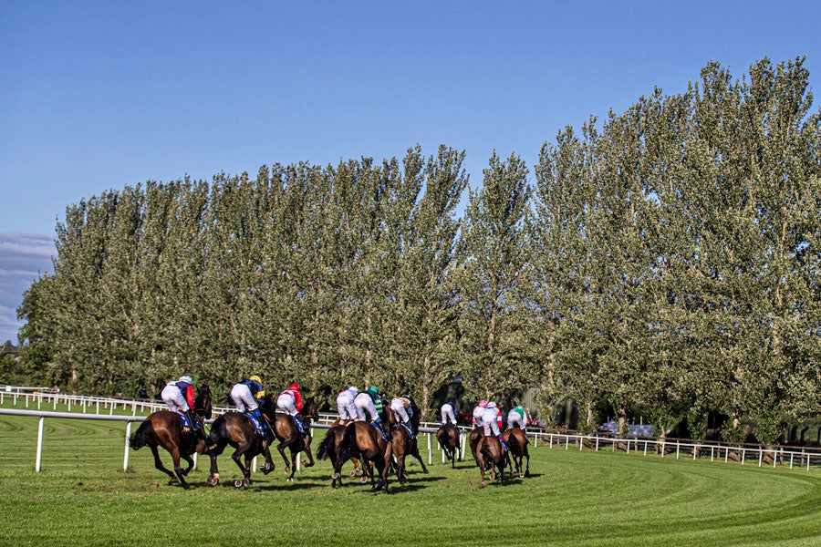 Visit Tipperary Racecourse with Discover Ireland