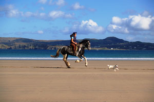 Visit Marble Hill Beach with Discover Ireland