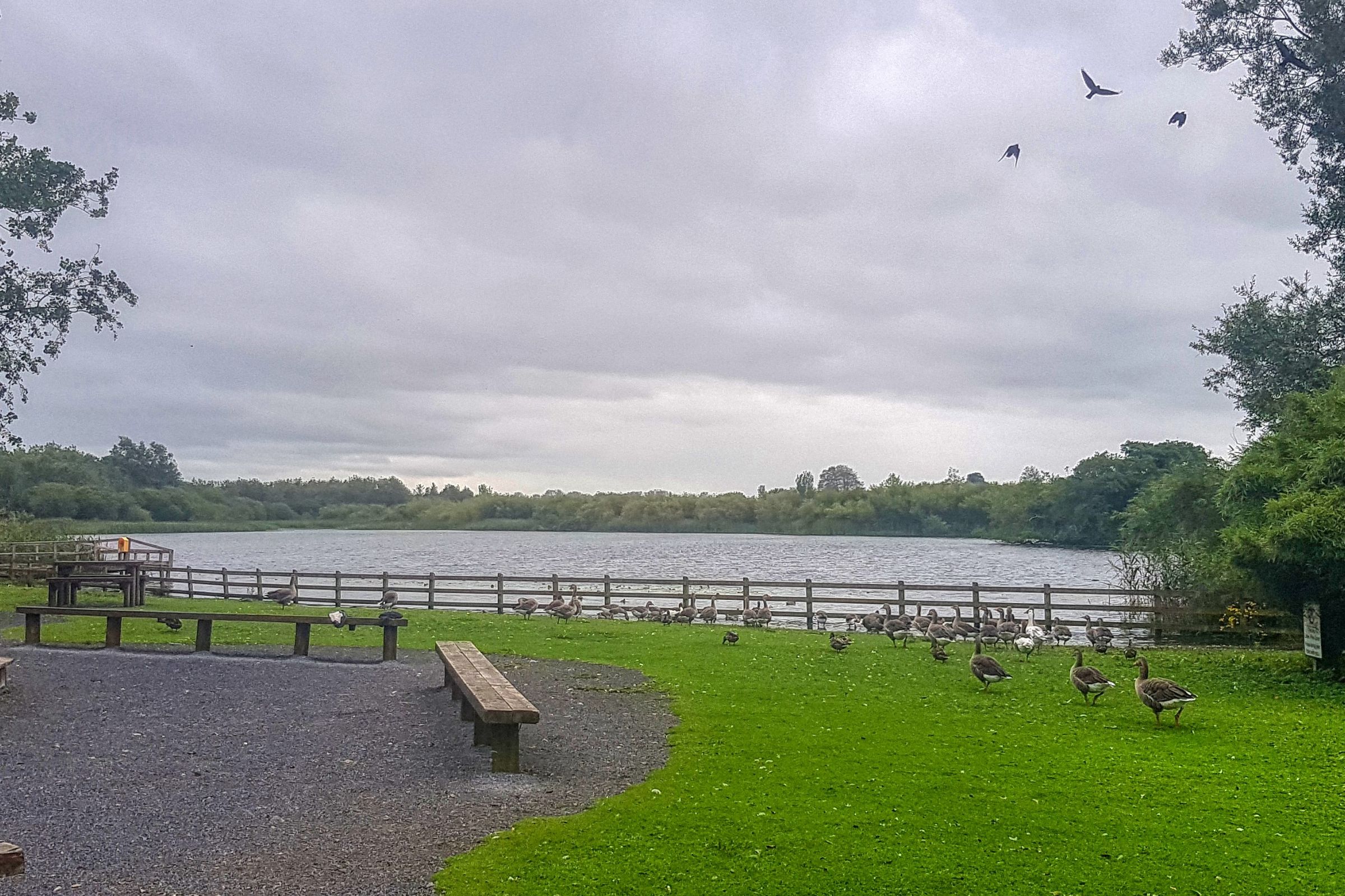 Experience Beautiful Claremorris with Discover Ireland