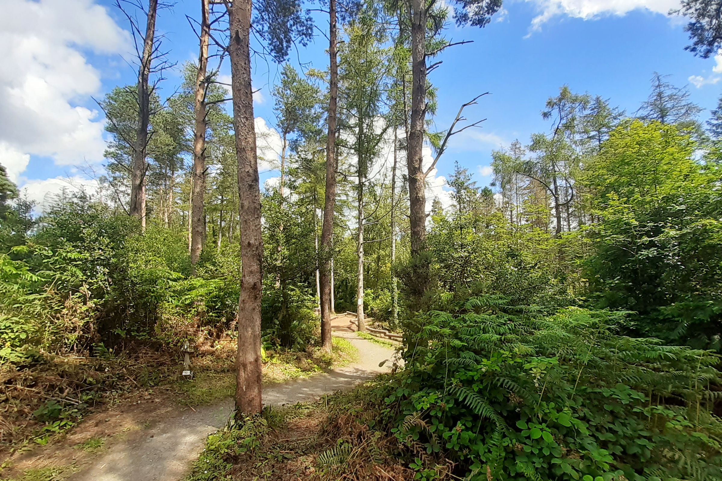 Visit Vibrant Cratloe with Discover Ireland