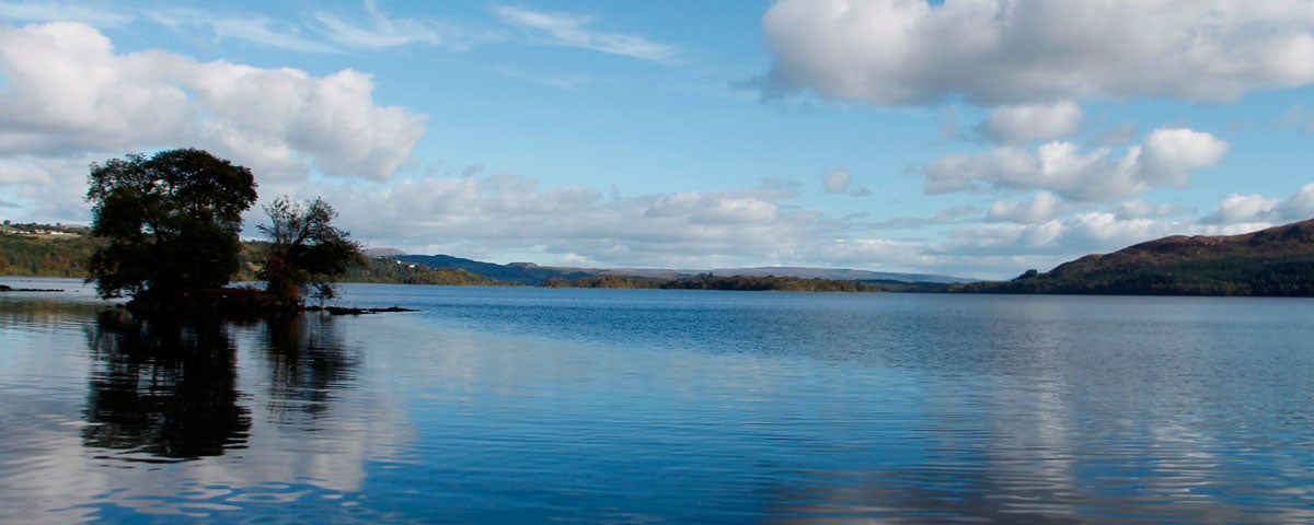 Visit Hazelwood Forest with Discover Ireland