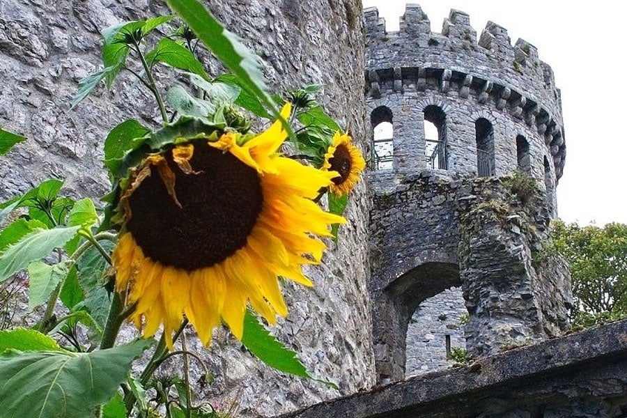 Visit Nenagh Walking Tours with Discover Ireland
