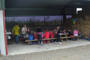 Visit Red Mountain Open Farm with Discover Ireland