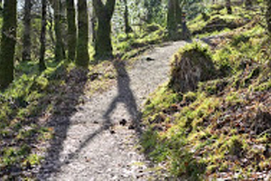 Visit Nature Loop with Discover Ireland