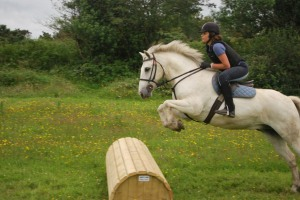 Visit Oakwood Stables Equestrian Centre with Discover Ireland