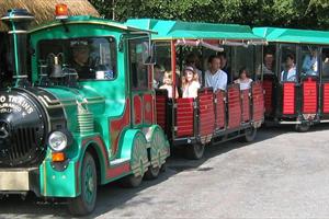 Visit Lullymore Heritage & Discovery Park with Discover Ireland