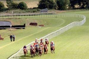 Visit Roscommon Racecourse with Discover Ireland