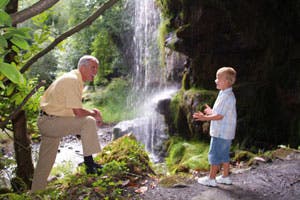 Visit Kilfane Glen and Waterfall with Discover Ireland
