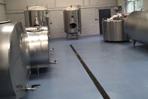 Visit Carlingford Brewing Company with Discover Ireland