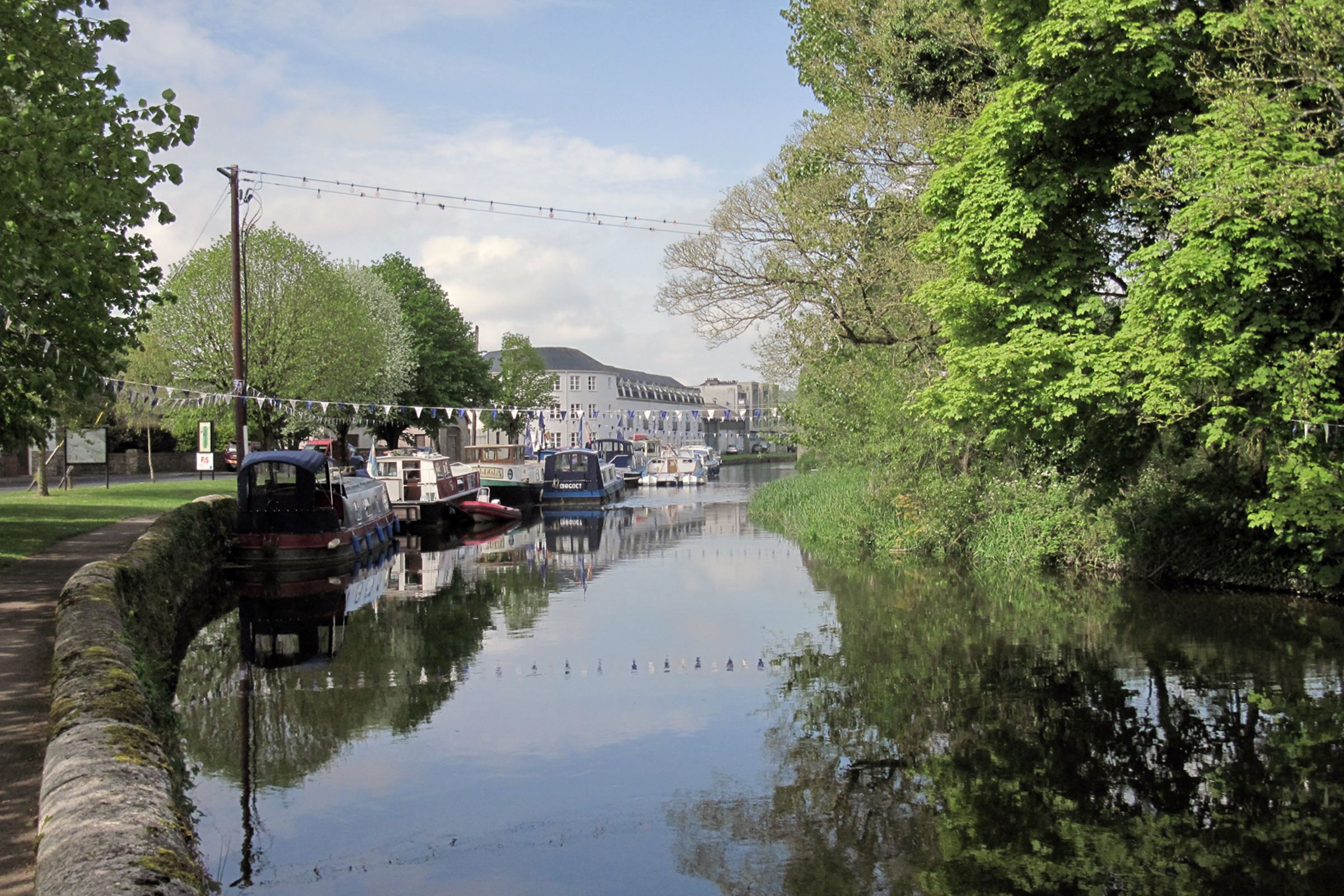 Experience Lively Bagenalstown with Discover Ireland