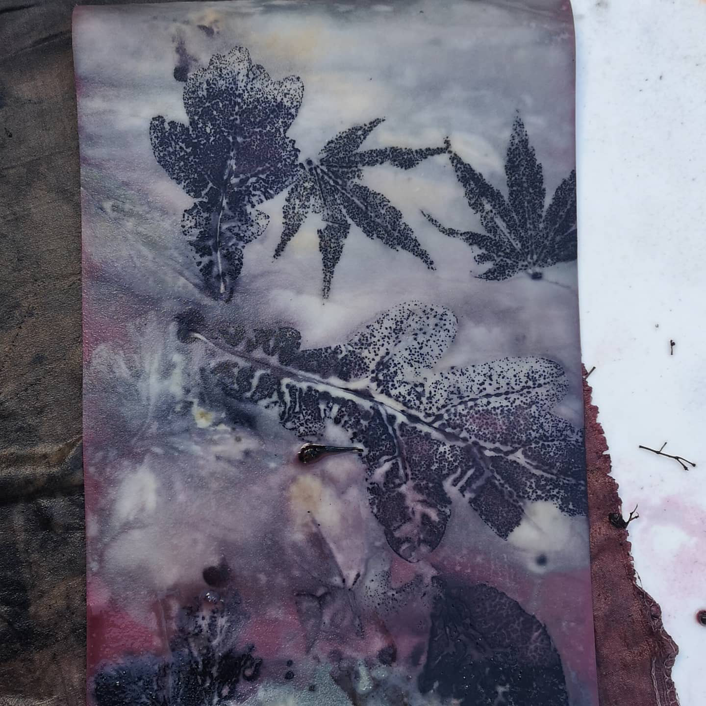 Visit Eco-printing on Paper Natural Dye Taster with Discover Ireland