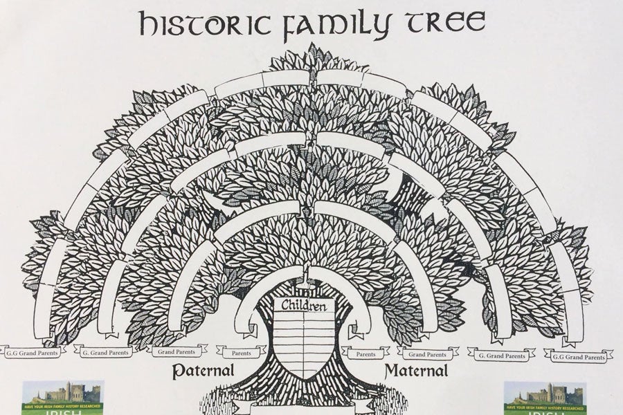 Visit Irish Family Search with Discover Ireland