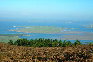 Visit Coney Island with Discover Ireland