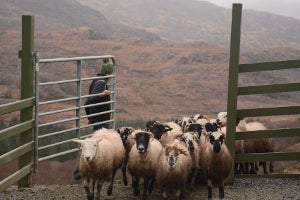 Visit Butlers Tours of Ireland with Discover Ireland