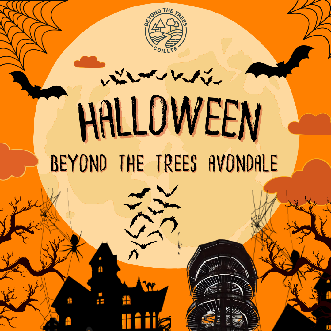 Visit Halloween at Beyond the Trees Avondale with Discover Ireland