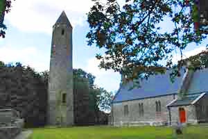 Visit Timahoe Round Tower with Discover Ireland