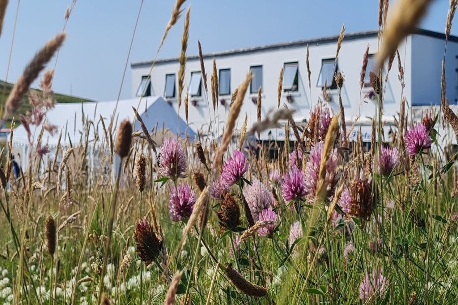 Stay with Doonmore Hotel