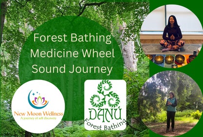 Forest Sound Journey
