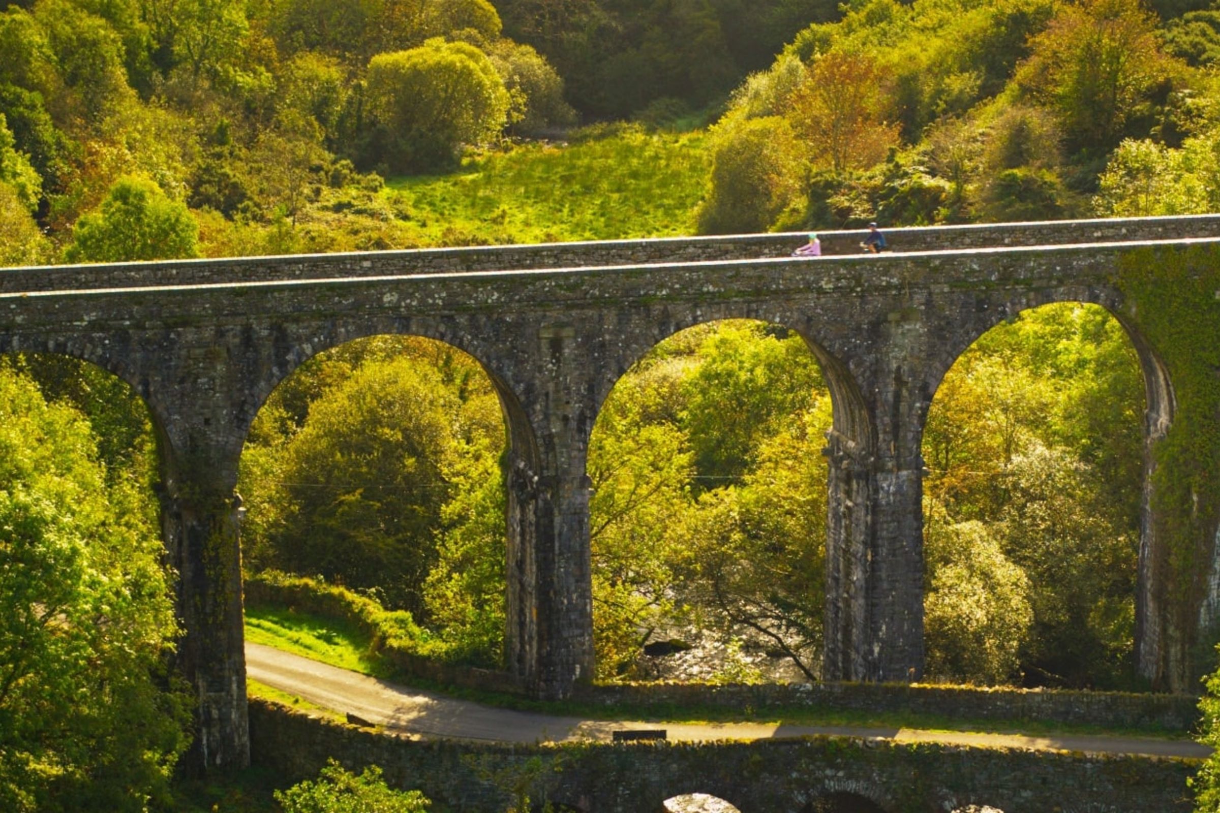 10 Things to Do In Waterford With Discover Ireland 10 Things to Do In Waterford With Discover Ireland