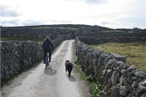 Visit Rothaí Inis Oírr with Discover Ireland