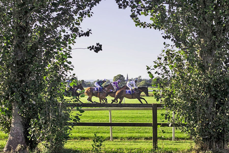 Visit Tipperary Racecourse with Discover Ireland
