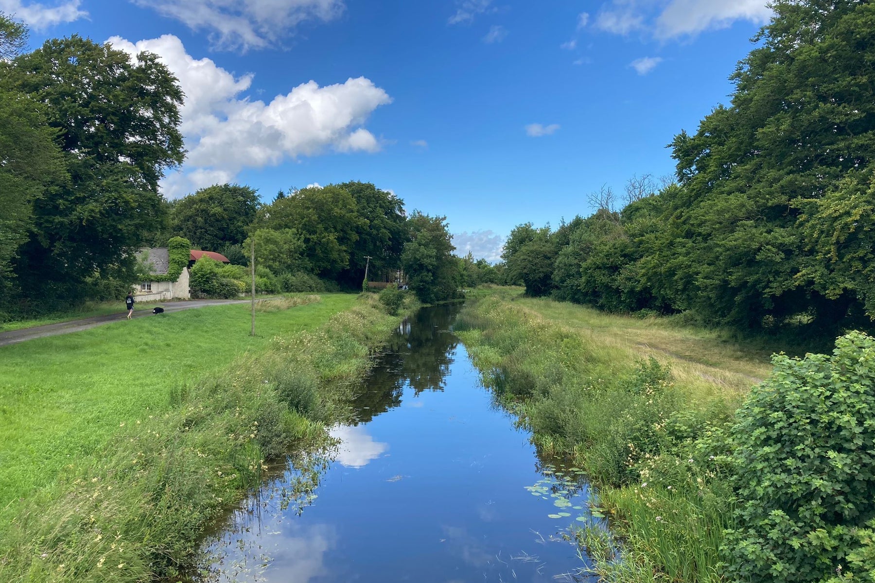 Visit Barrow Blueway Bike Hire with Discover Ireland