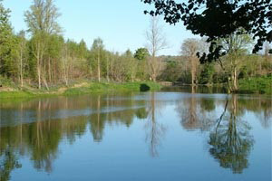 Visit Castlecomer Discovery Park and Visitor Centre with Discover Ireland