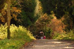 Visit Castlecomer Discovery Park and Visitor Centre with Discover Ireland