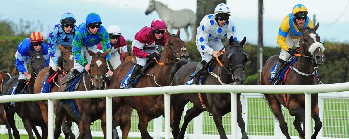 Visit Ballinrobe Racecourse with Discover Ireland