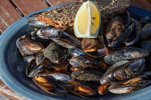Visit Killary Fjord Shellfish with Discover Ireland