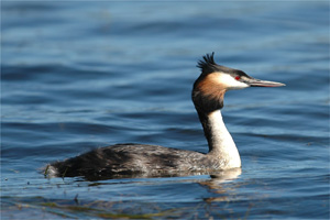 Explore Lough Oughter with Discover Ireland