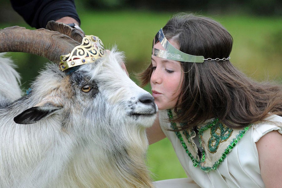 Visit Statue of King Puck Killorglin with Discover Ireland