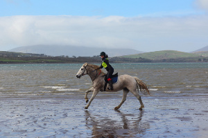 Visit Dingle Horse Riding with Discover Ireland