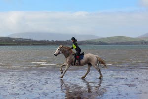 Visit Dingle Horse Riding with Discover Ireland