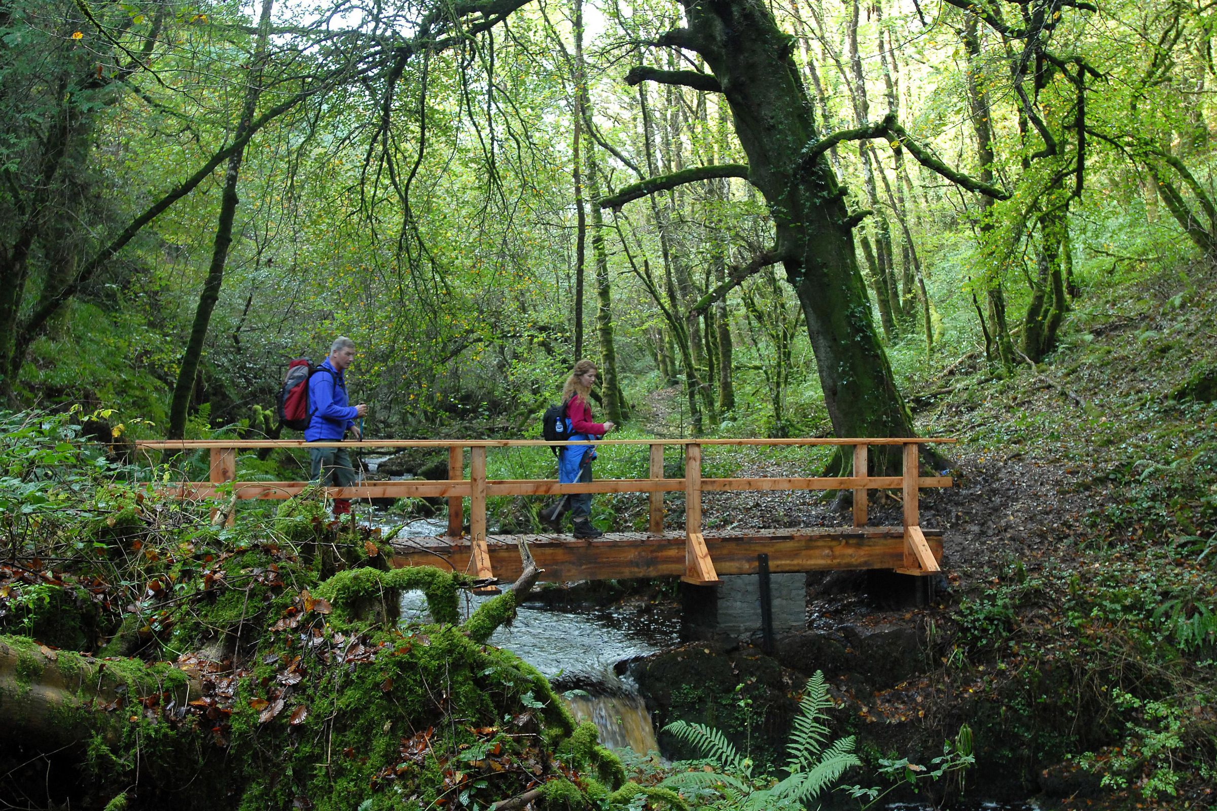 Explore Thrilling Ballyhoura with Discover Ireland