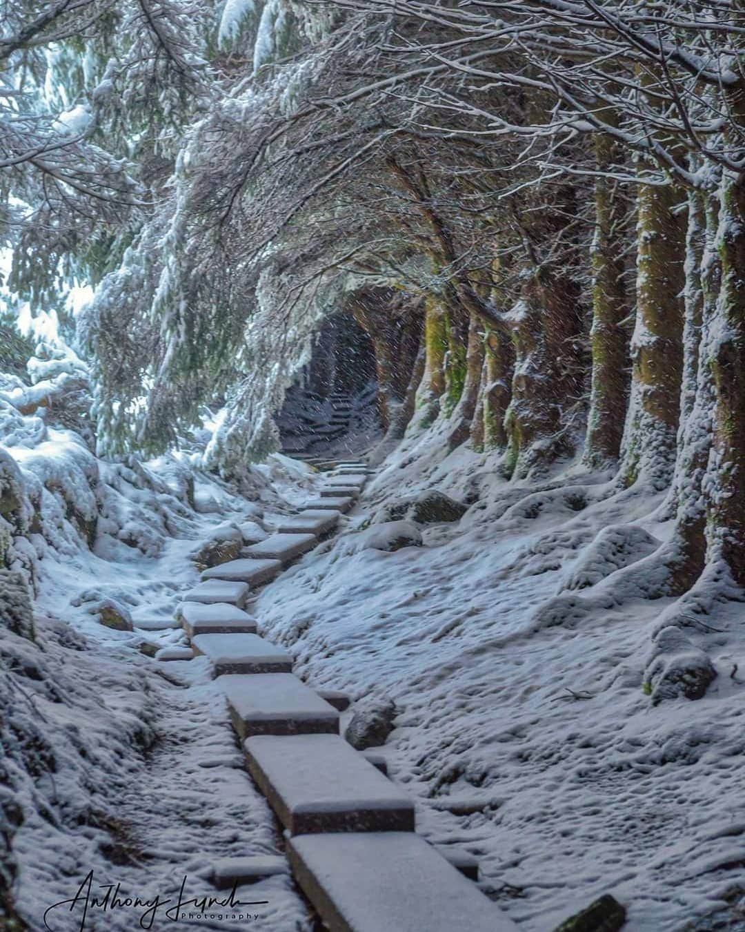 See Stunning Images of Winter with Discover Ireland