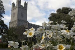 Visit Limerick Medieval Walking Trail with Discover Ireland