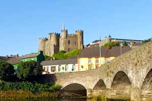 Visit Enniscorthy Castle Visitor Information Point with Discover Ireland