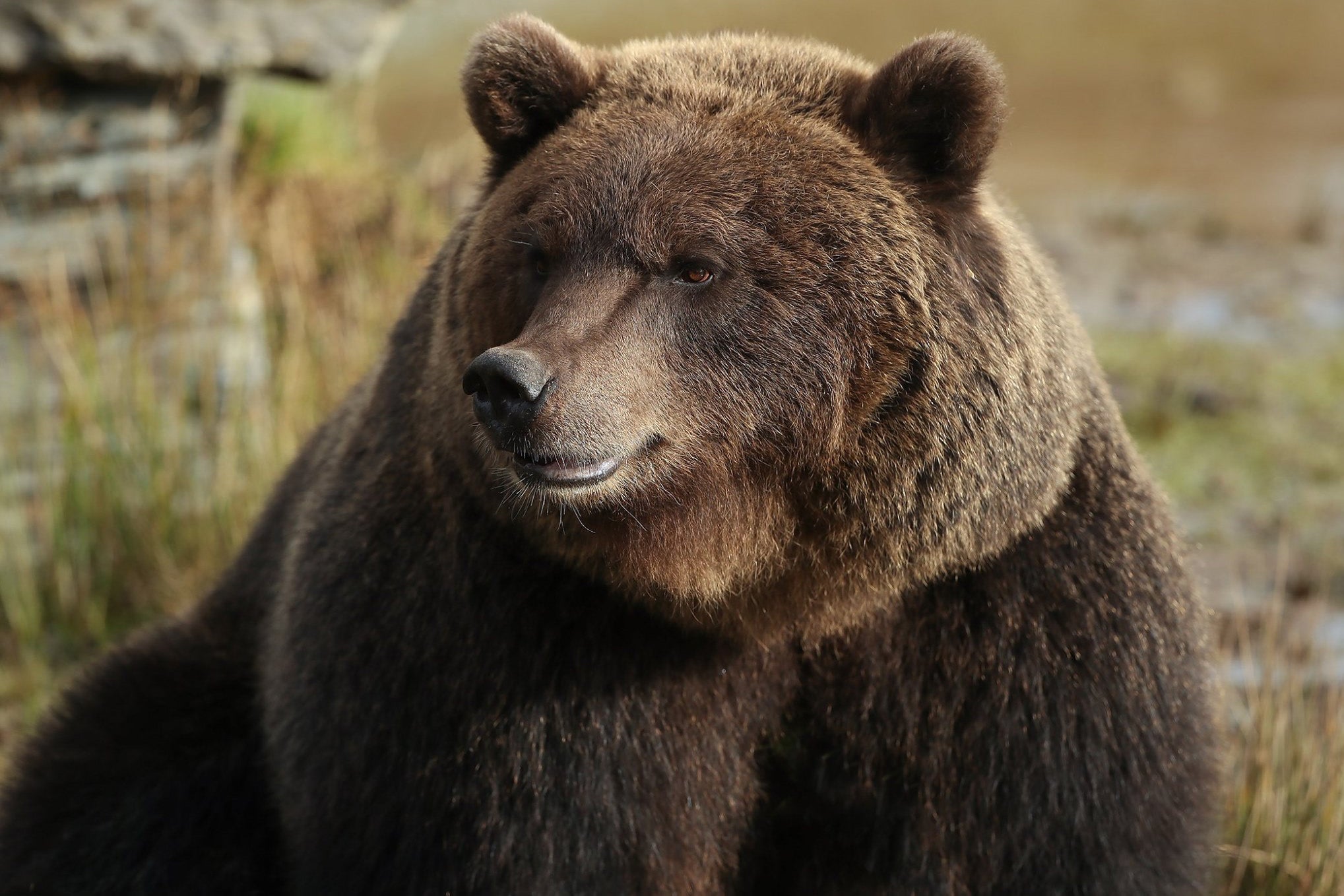 Visit Wild Ireland with Discover Ireland