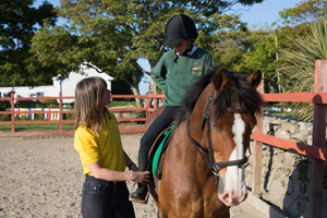 Visit Island View Riding Stables with Discover Ireland