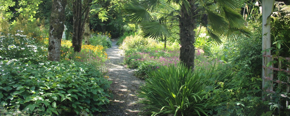 Visit Gash Gardens with Discover Ireland