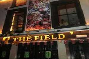 Visit The Field Bar & Restaurant with Discover Ireland